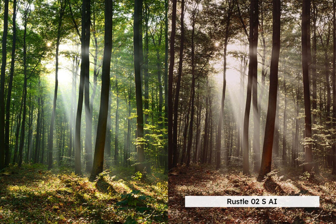 20 Forest Tones Lightroom Presets and LUTs